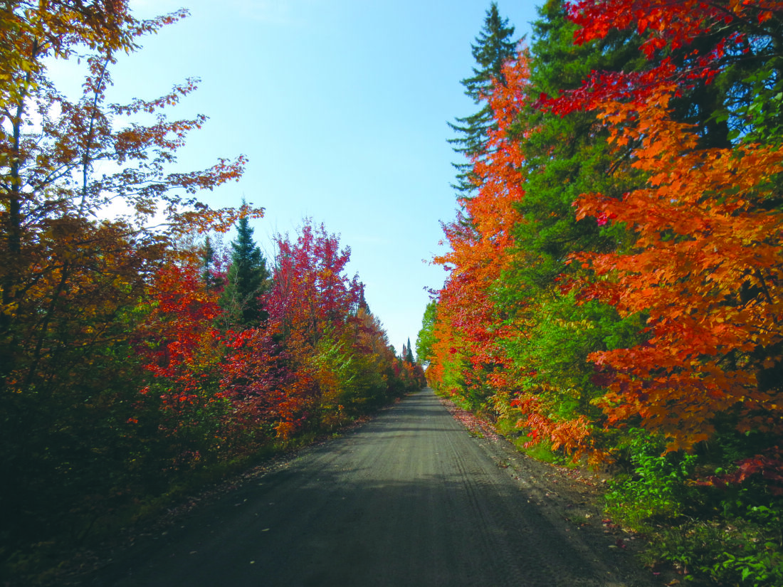 Explore fall colors on an ORV | News, Sports, Jobs - The Mining Gazette